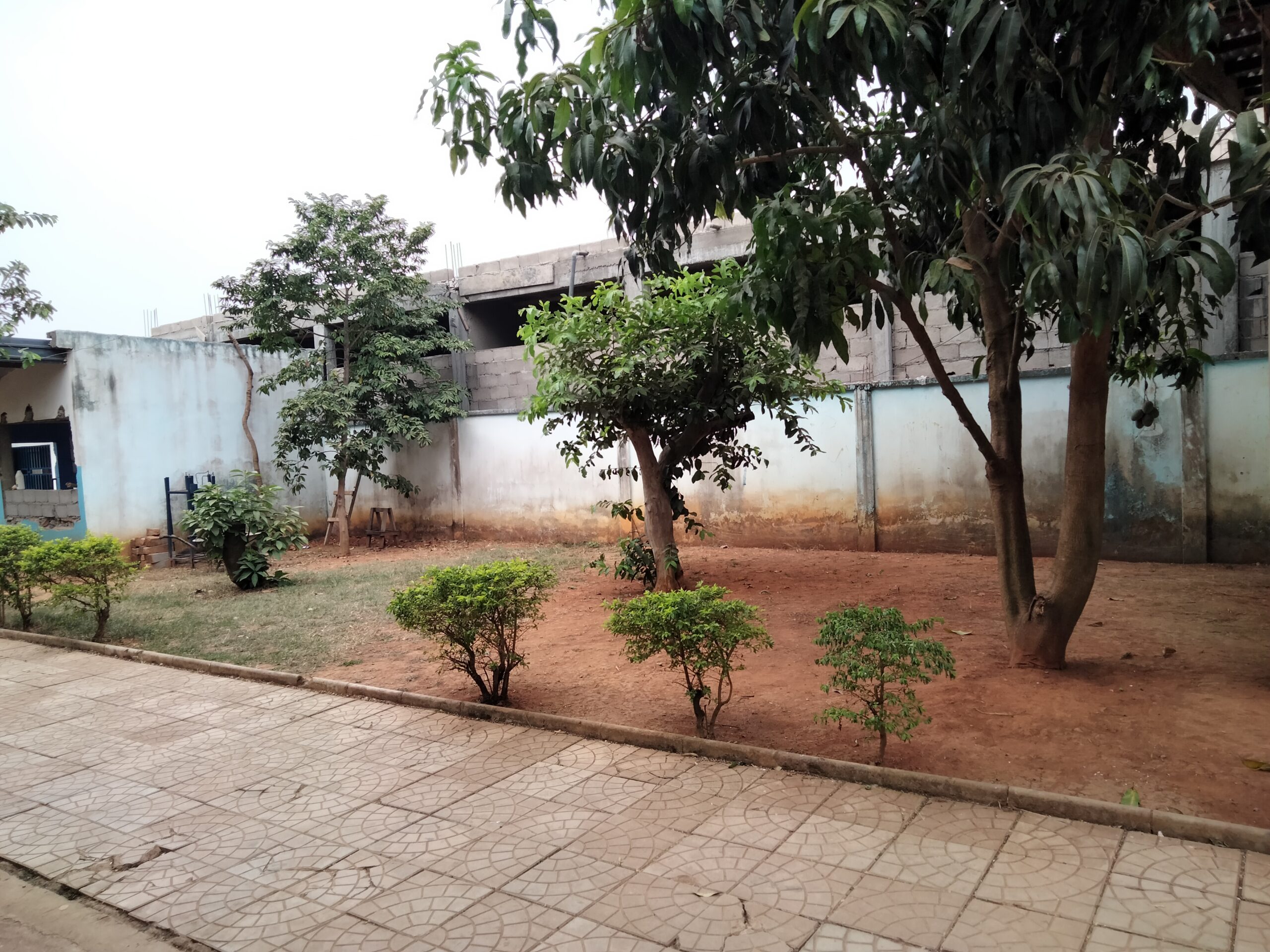 Our current projects | Weccare Foundation